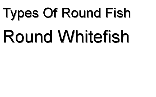 Round Whitefish - Types Of Round Fish