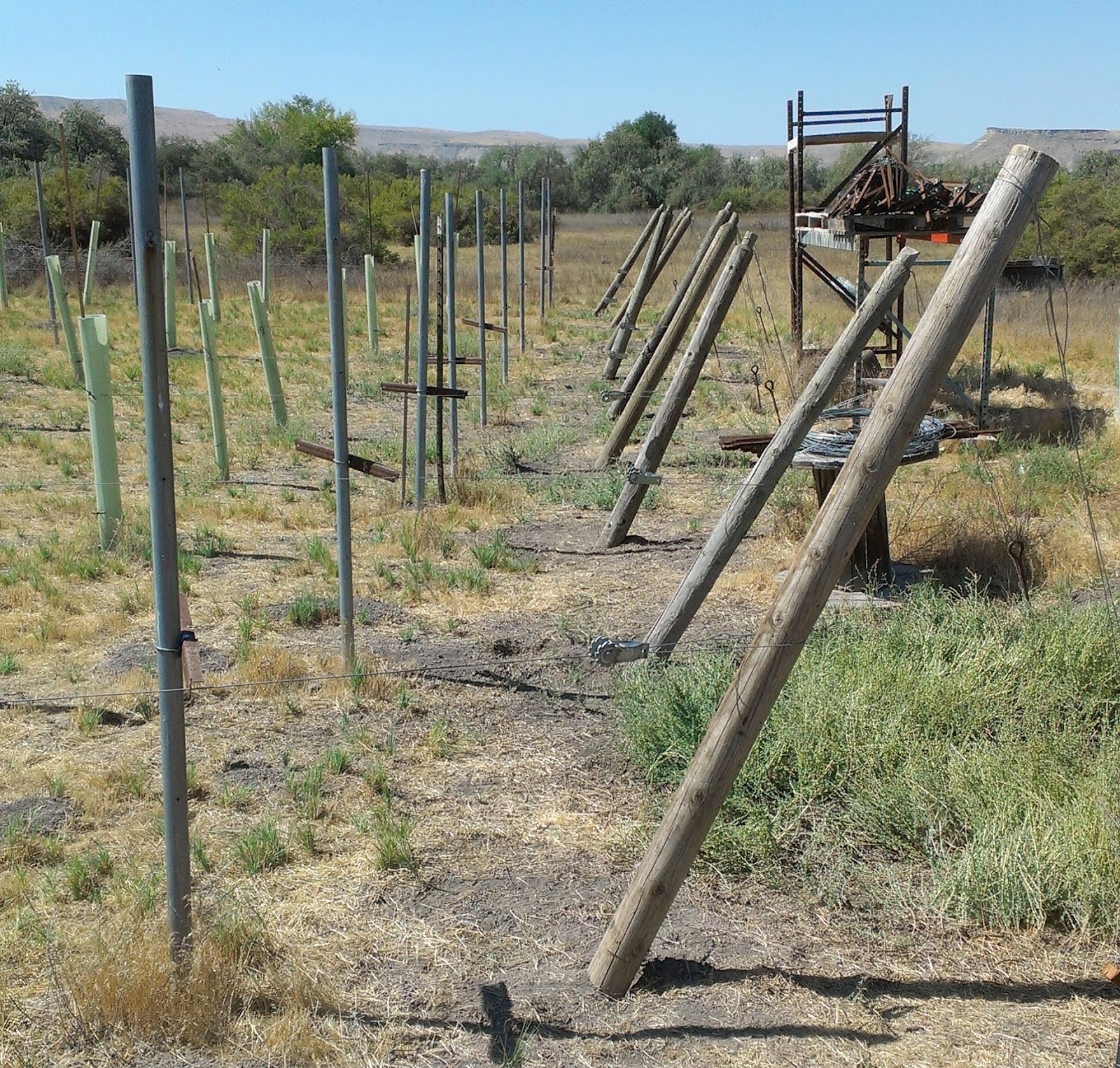 Hettinger.us: Vineyard End Posts