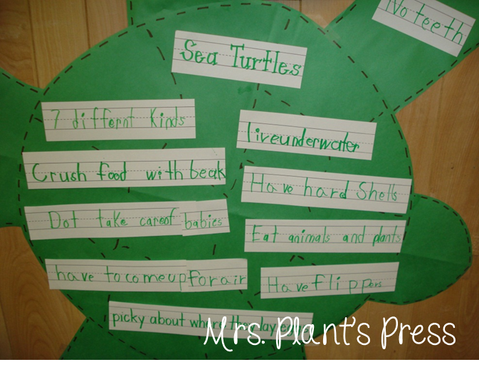 Ocean Fun! - Primary Press