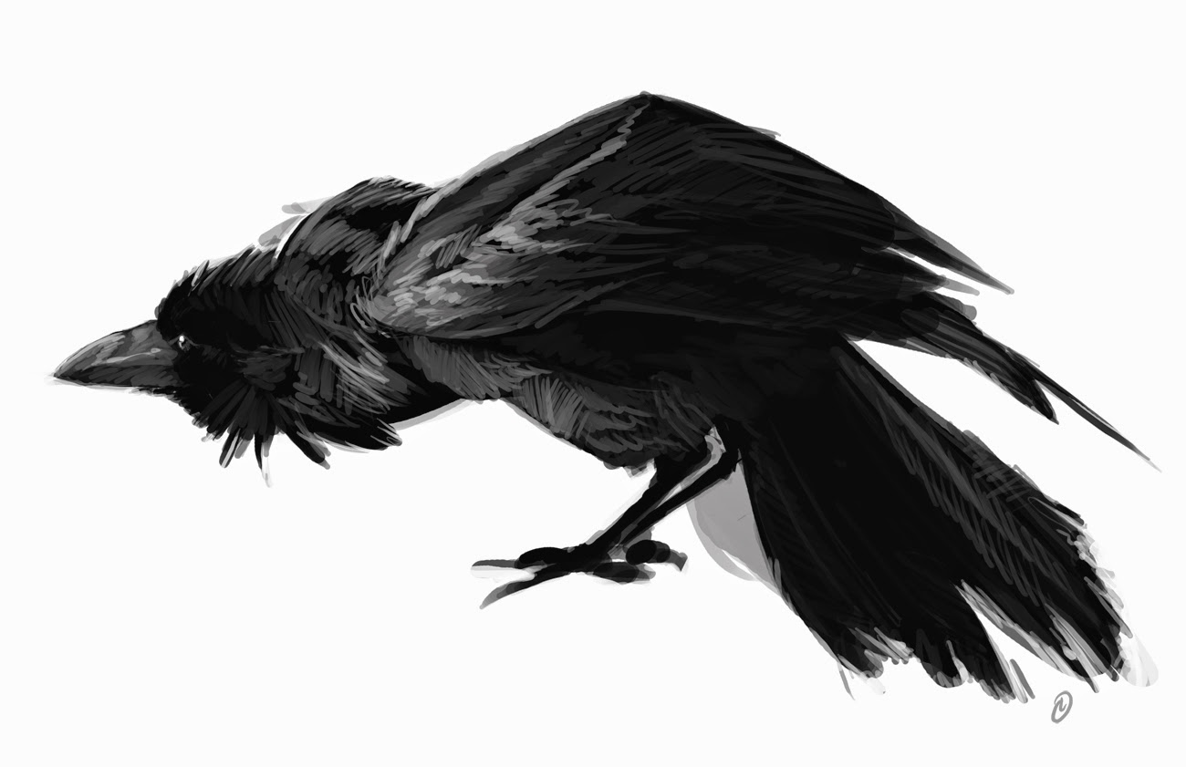 The Raven Reference Images