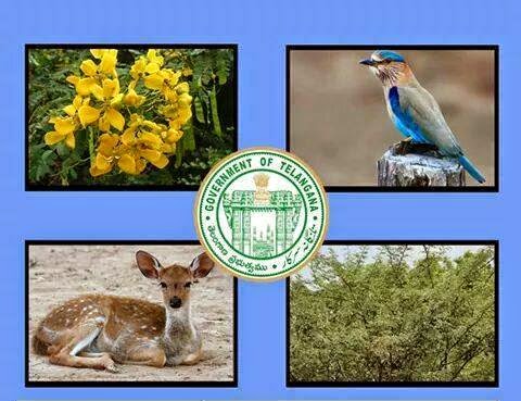 GO MS 23 STATE SYMBOLS OF TELANGANA STATE DECLARED - TS Teachers ...