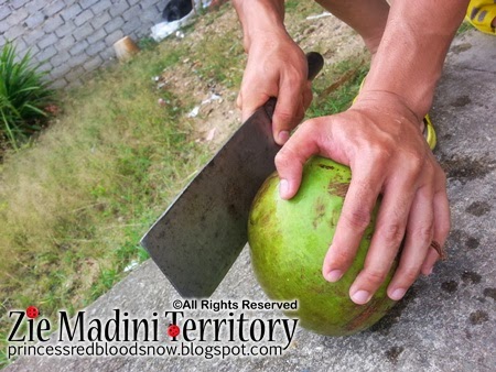 Zie Madini's Territory [[Personal Blog]]: Air Kelapa Petua Ubat Jerumut ...