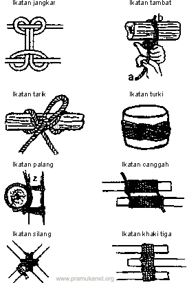 Simpul dan Ikatan dalam Pramuka | Seputar Pendidikan SD