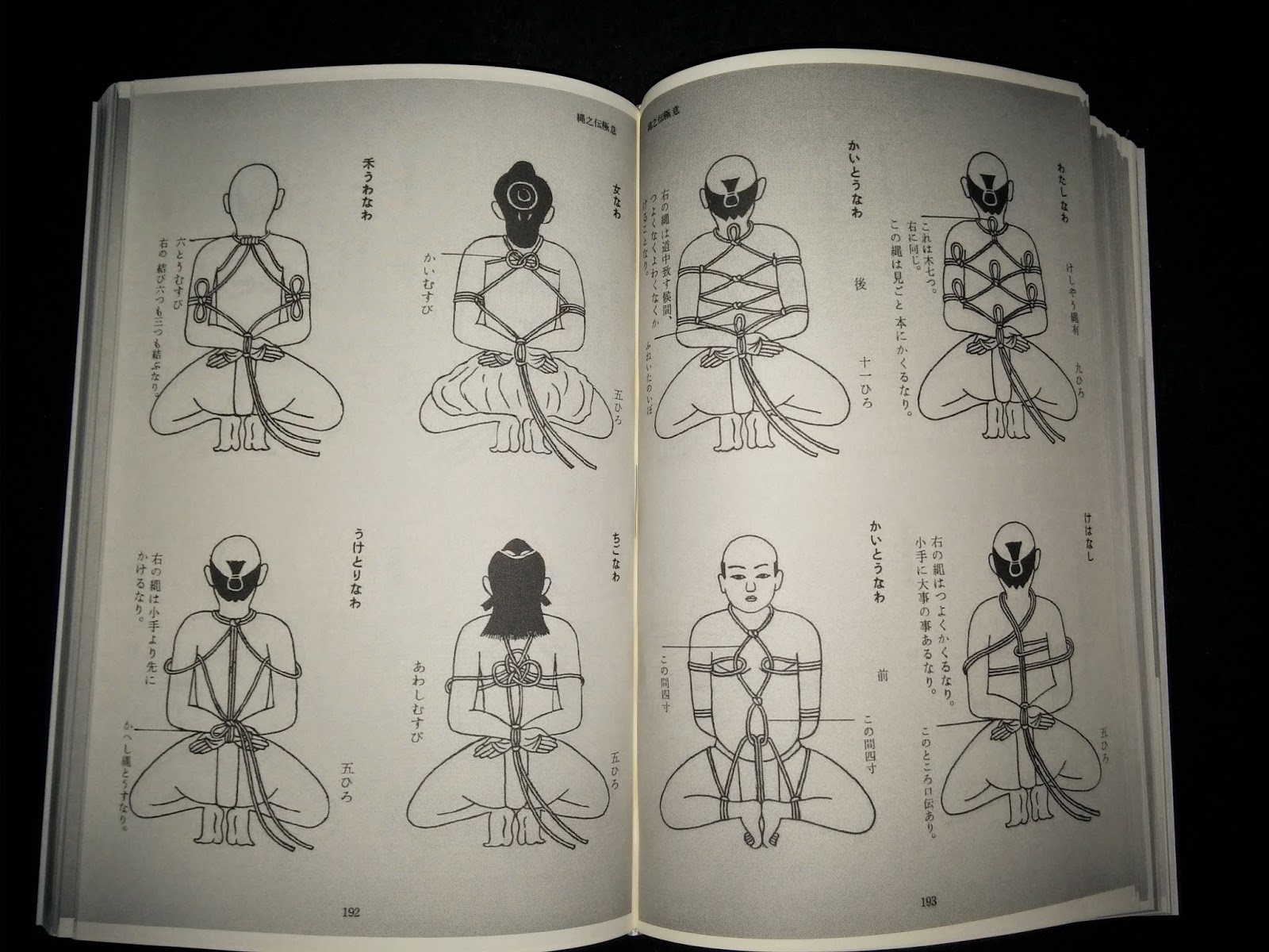 ChroniquesBUDO: 2014-12 : "TORINAWA JUTSU" de Fujita SEIKO