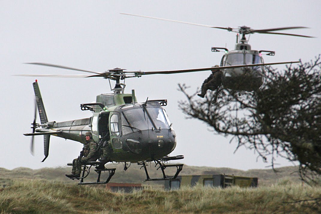 Fra Limfjordens bredder...: Night Hawk