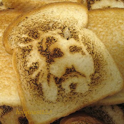 Cotolo Chronicles: August 2012