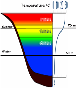 GEOFIZIK STPM: MEMAHAMI LAPISAN TERMOKLIN