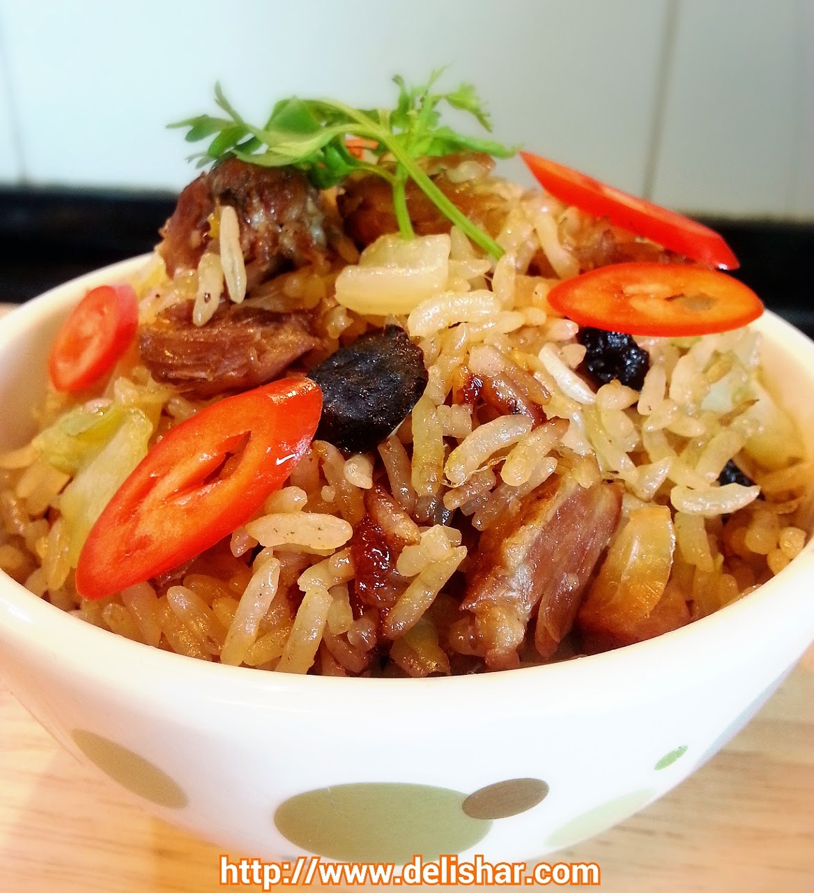 DELISHAR: Stewed Pork Cabbage Rice (Rice Cooker)