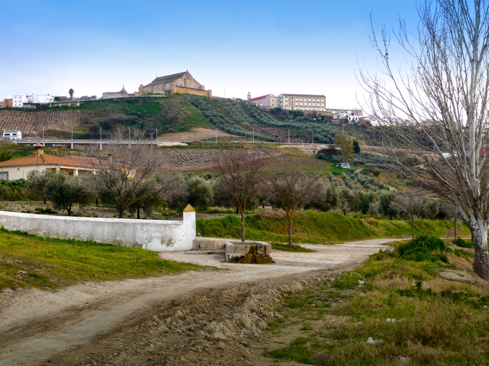 Bacus Travel: Bacus travel Turismo en Montilla: Sus Paisajes.