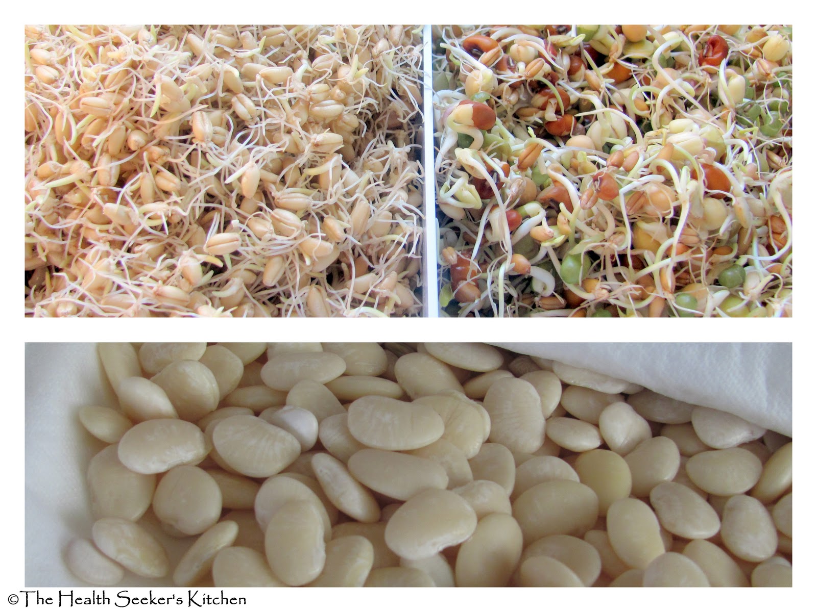 The Health Seekers Kitchen: Spicy Lima Bean Soup & Zesty Sprout Salad