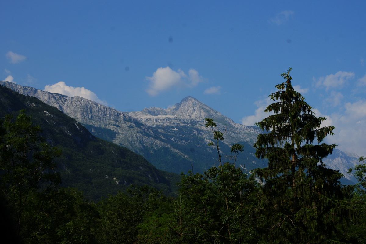 Malfa "Forestiero Nomade": Monte Rombon 2207 m. Da Bovec (Plezzo) Slovenia.