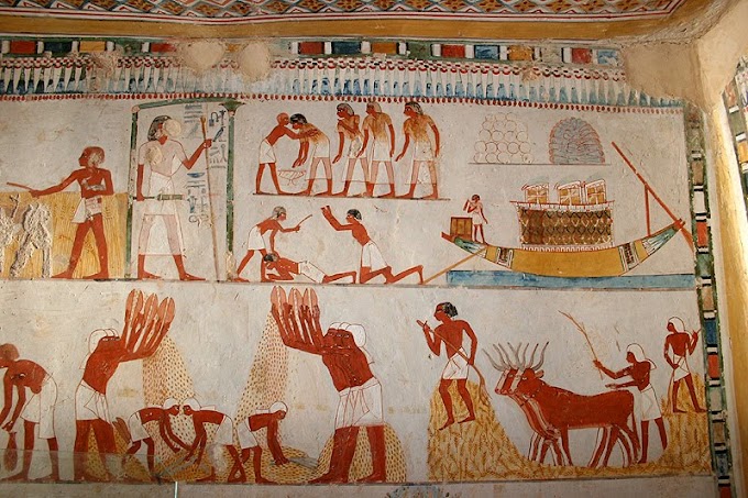 The Ancient Egyptian Agriculture