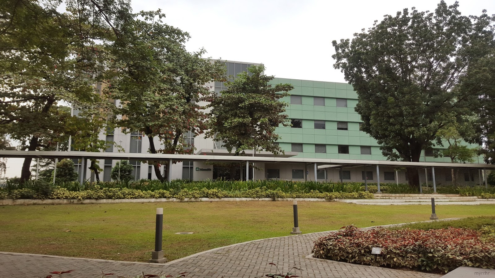 UP Ayala Technohub - Kittenish by Myrrh Reyes