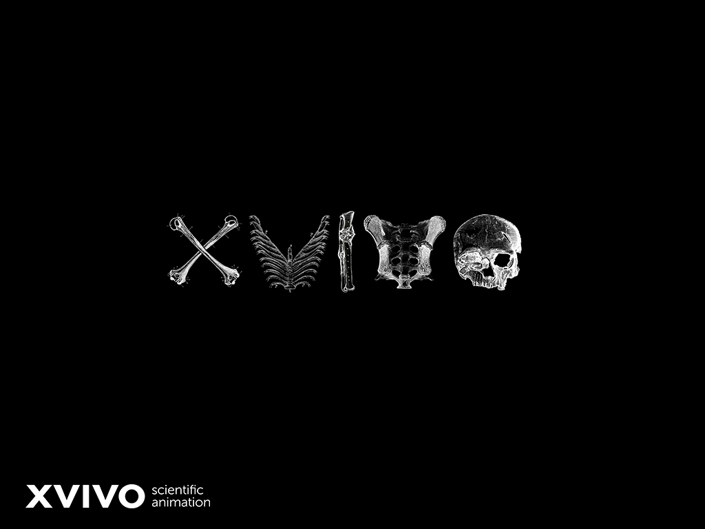 TERİM KÖŞESİ/CERRAHİ HEMŞİRELİĞİ/2