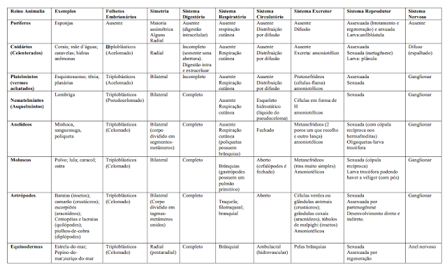 Blog de Biologia da Professora Gláucia