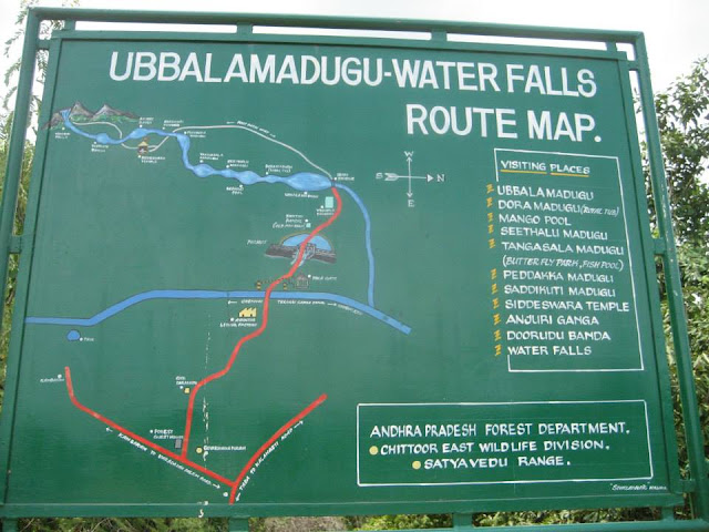 Tamilnadu Tourism: Ubbalamadugu Falls (Tada Falls)