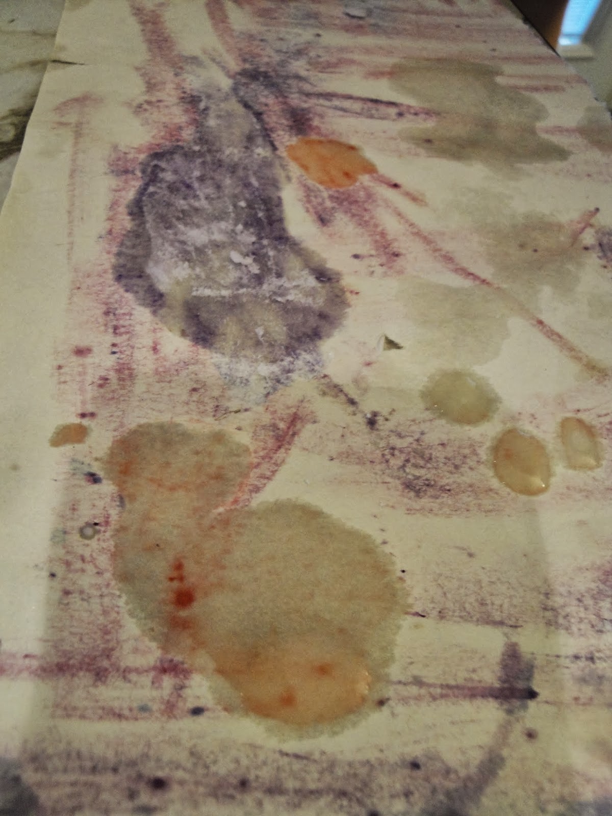 SMMARTideas: SMMART SCIENCE: Radish pH Paper