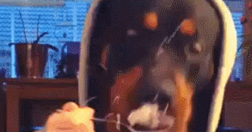 cias1975: Lucka 7....