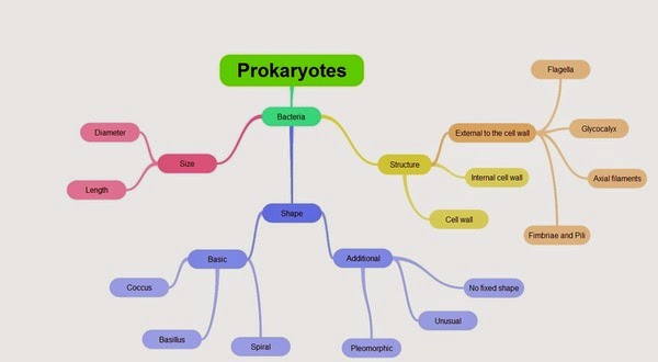 Into the Microscopic World: Lesson 5 (23/9/14)