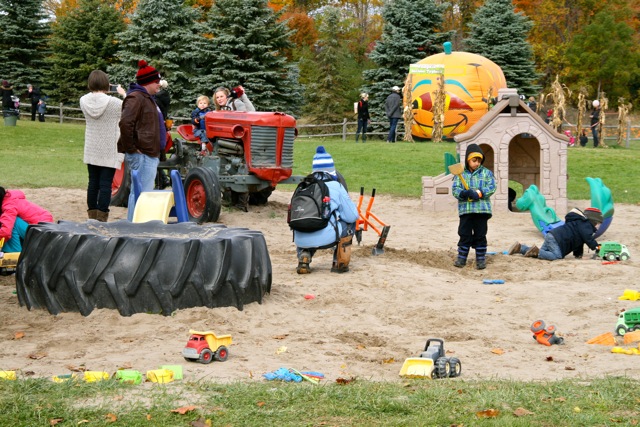 Toronto Fun Places: This Pumpkinland puts the "more" in Whittamore's Farm!