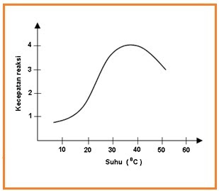 ENZIMOLOGI - Biology Page