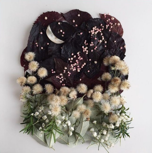 the art room plant: Bridget Beth Collins II