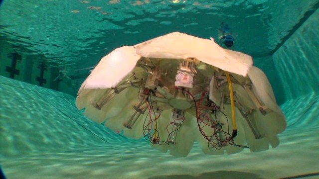 Riverwood Robots: ROBOTS: What is “Cyro – the Robotic Jellyfish”?