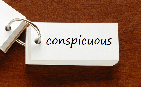 英検準1級レベルの単語と例文 — conspicuous|語学の勉強