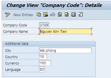 Create a company code in SAP ERP system