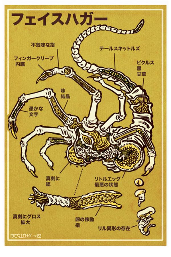 Facehugger Anatomy! : r/LV426