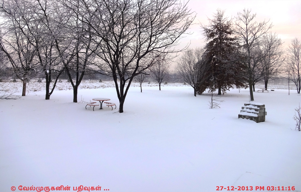 Detroit Snowfall - Exploring My Life