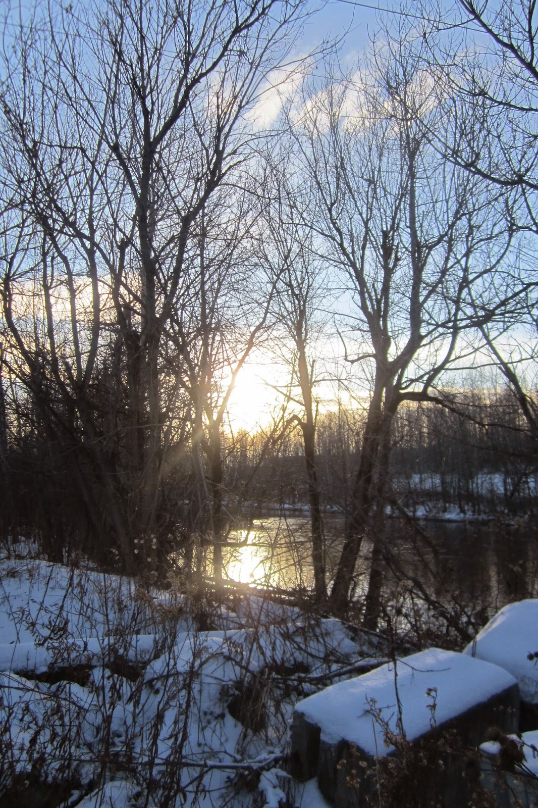 P.A.P. photographie: Hiver