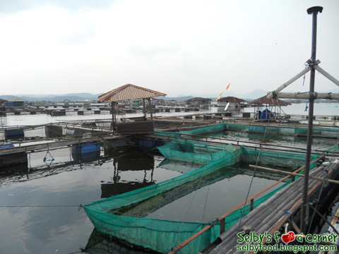 Selby's Food Corner: Lunch at Waduk Cirata (Cirata Dam) Sindang Jaya ...