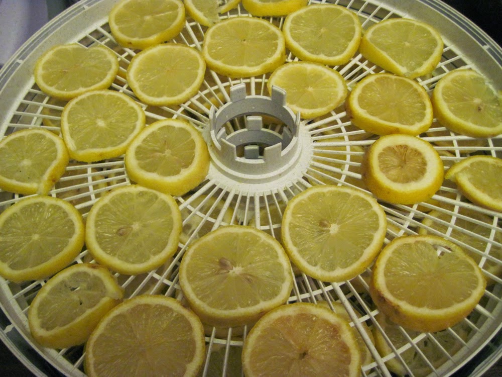 A Slice of Texas blog : DEHYDRATED LEMONS - Why I preserve lemons