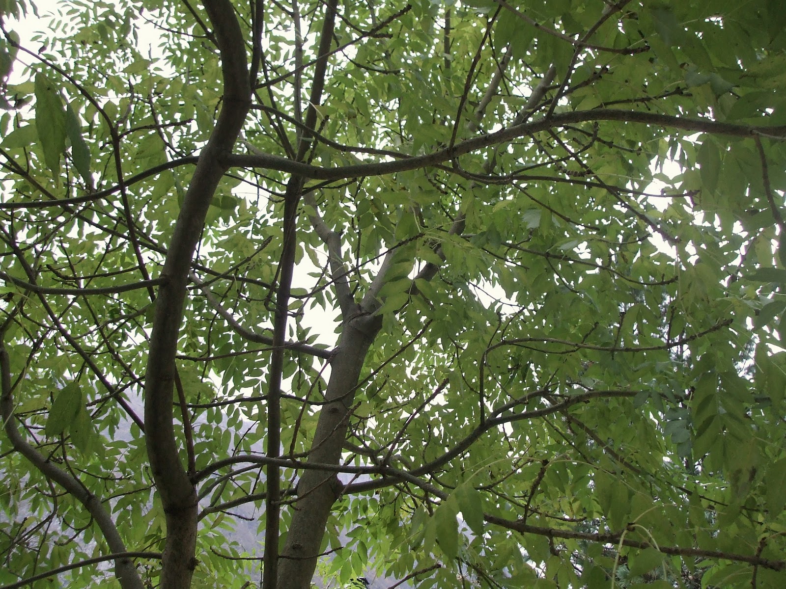 I enden av regnbogen: Tre x 3