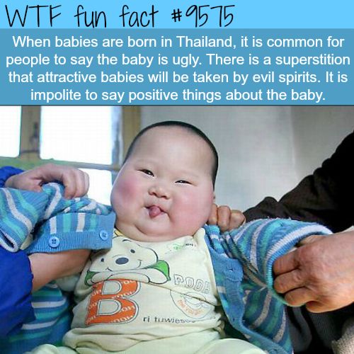 40 Amazing WTF Fun Random Facts | Amazing WTF Facts