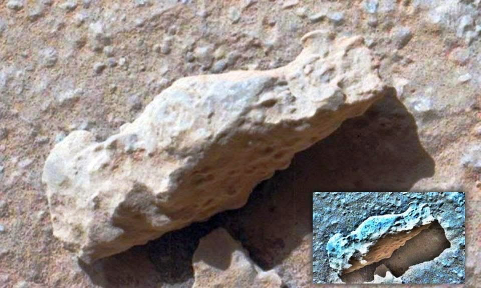 Pictured: NASA Mars: Horned 'Goat-like' Fossil - Apr 16, 2014