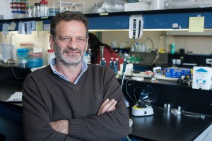 estreptociencia: SINDROME UREMICO HEMOLITICO (SUH)