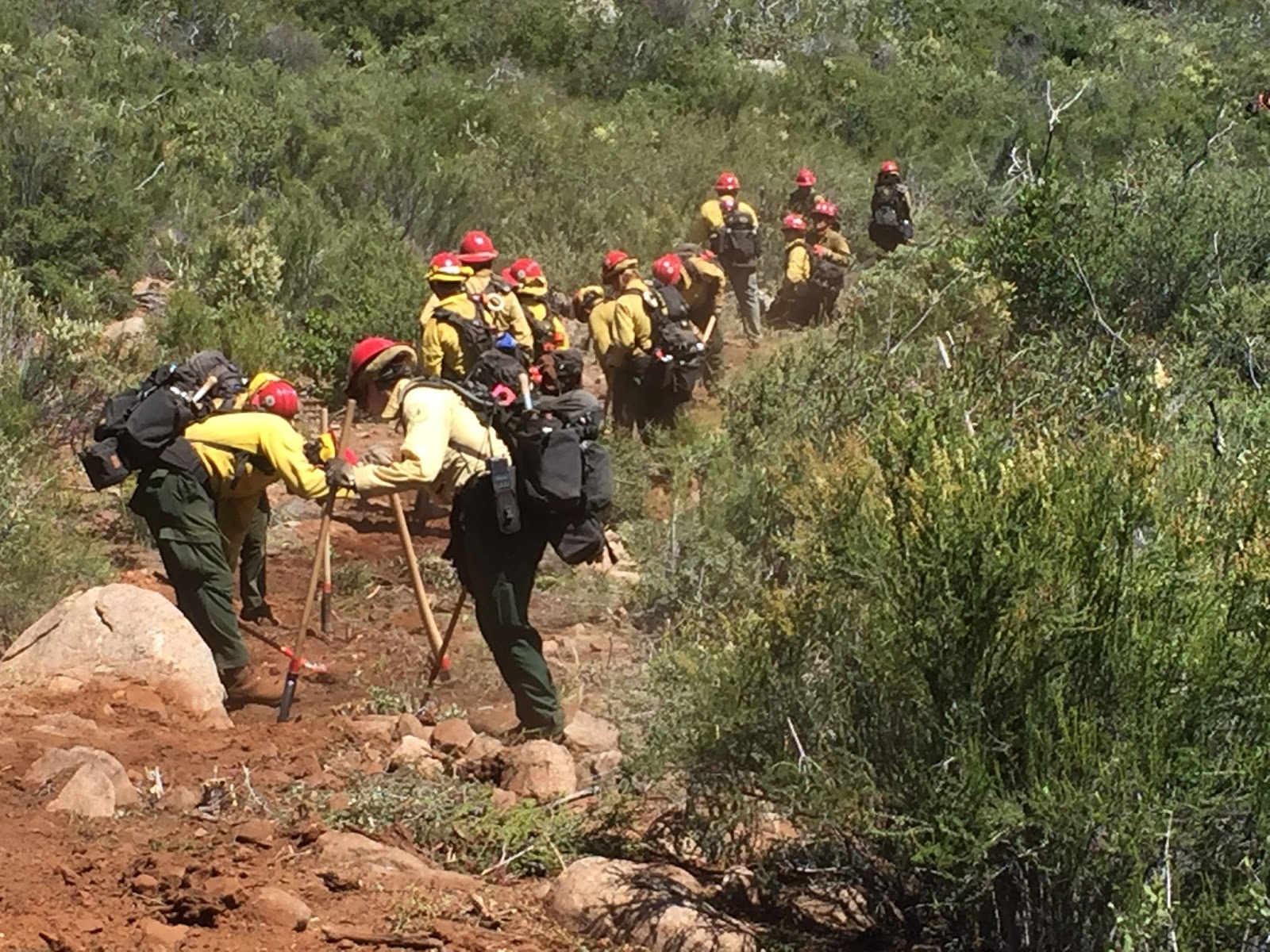 THE LAGUNA INTERAGENCY HOTSHOT CREW: Available