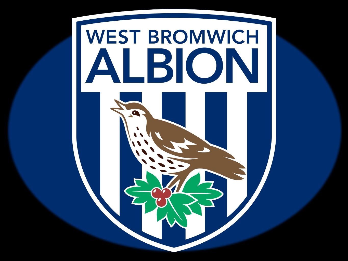 England Football Logos: West Bromwich FC Logo Pictures
