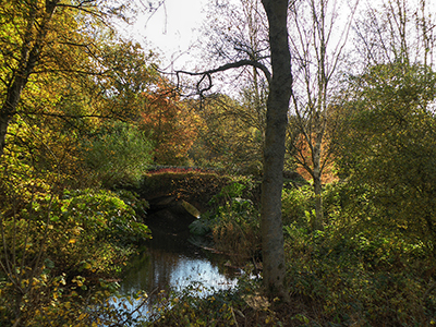 Balcarres Estate walk ....