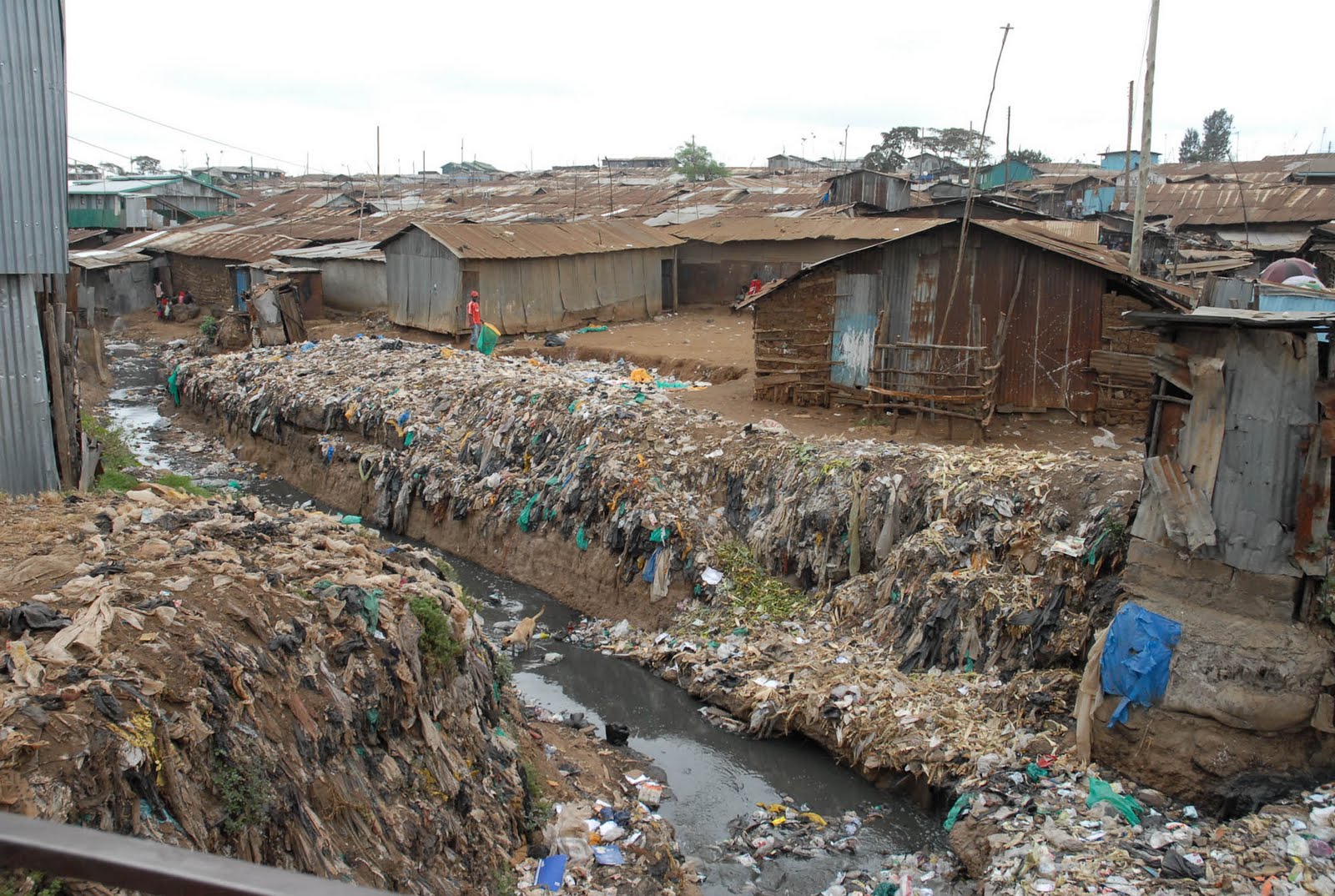 Still Seeking Sanity: The Kibera Slum