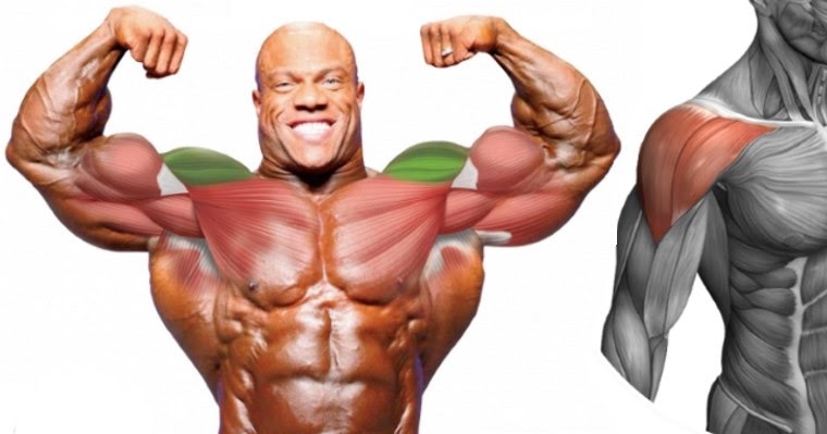 How To Build Big Shoulders, Safely