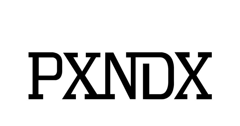 Recomendación Musical: Pxndx | Vida de Papel