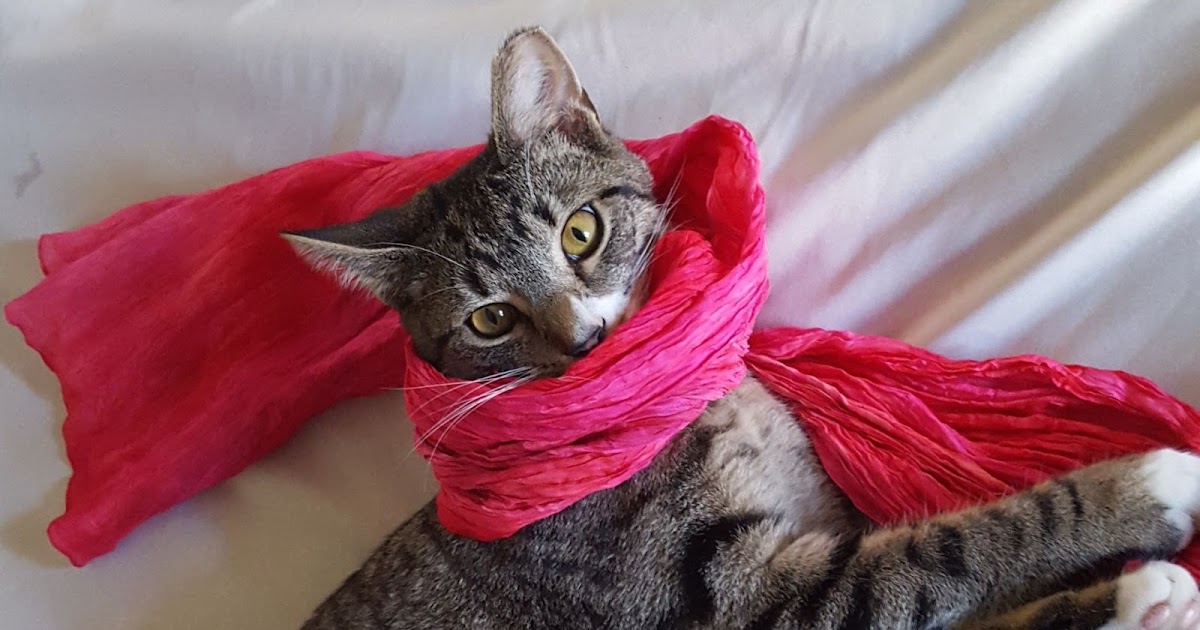 Beauty, and What It Means: Compliments, Catcalls, and Weariness