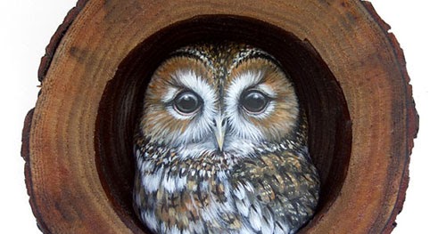 My Owl Barn: Surreal Hand-Painted Rocks and 3D Wildlife Portraits by ...