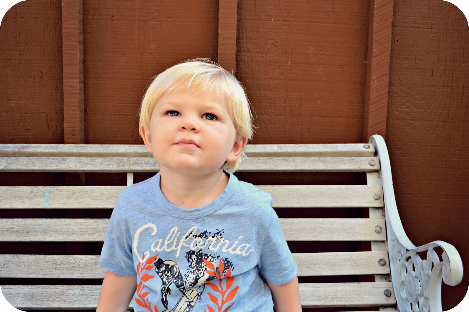 Macke Monologues: 21 Months Old!