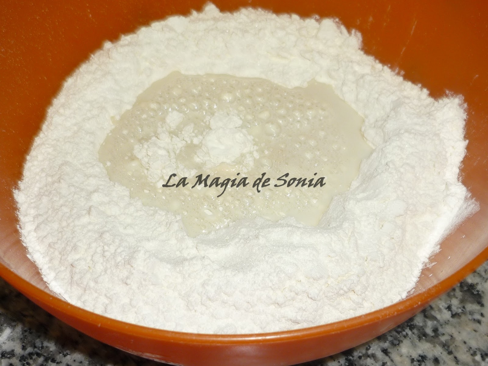 La Magia de Sonia: Pan Sol con Camembert