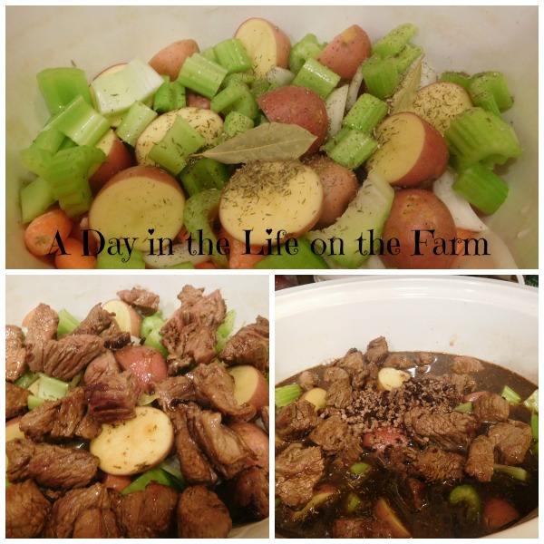 A Day in the Life on the Farm: A Special Stew for a Special Secret ...