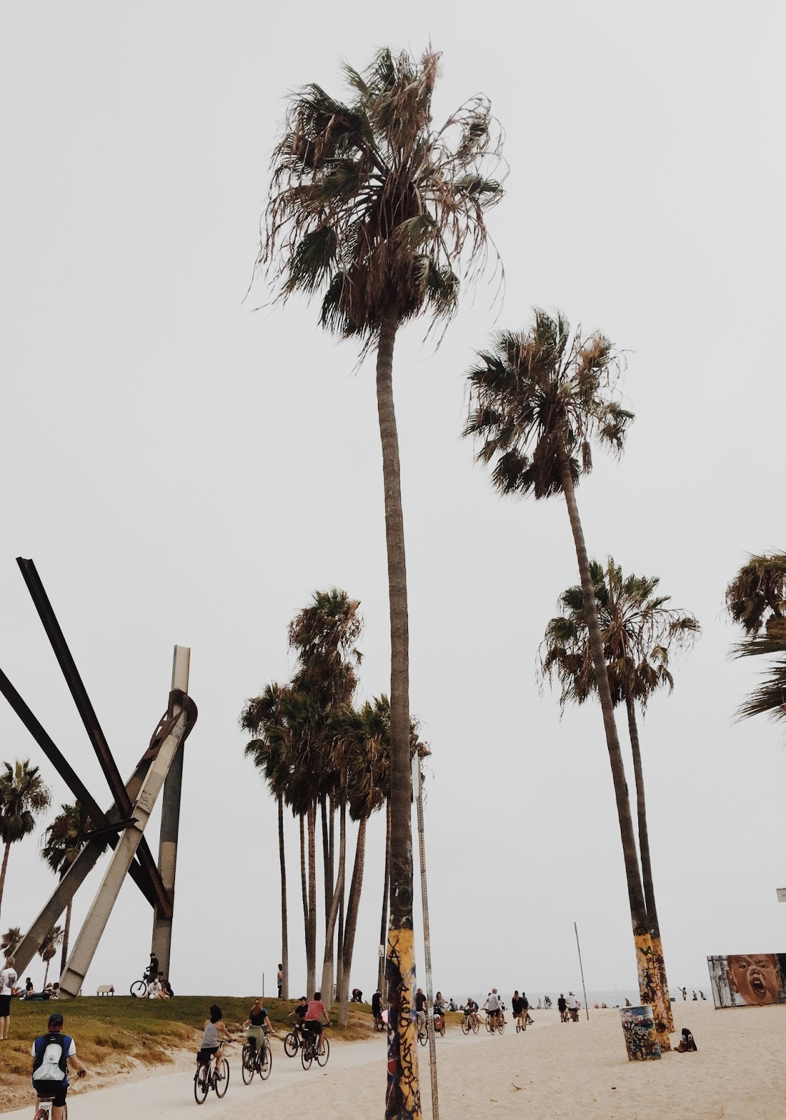 Goodbye August | StephC